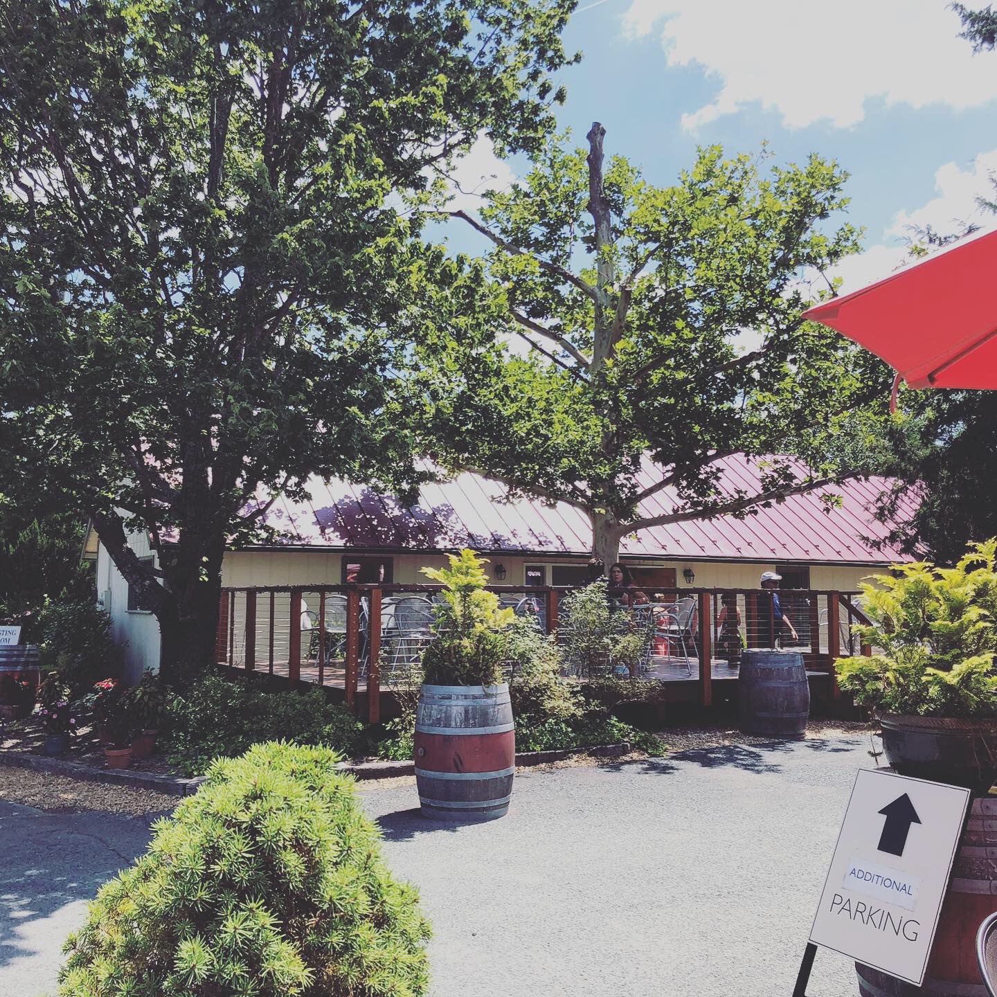 Jefferson Vineyard Library Tasting – VaVineDudes